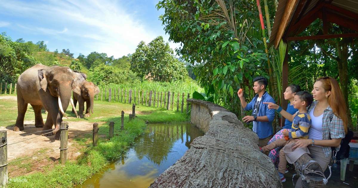 Kota Kinabalu and Lok Kawi Wildlife Park Tour, Malaysia - Klook États-Unis